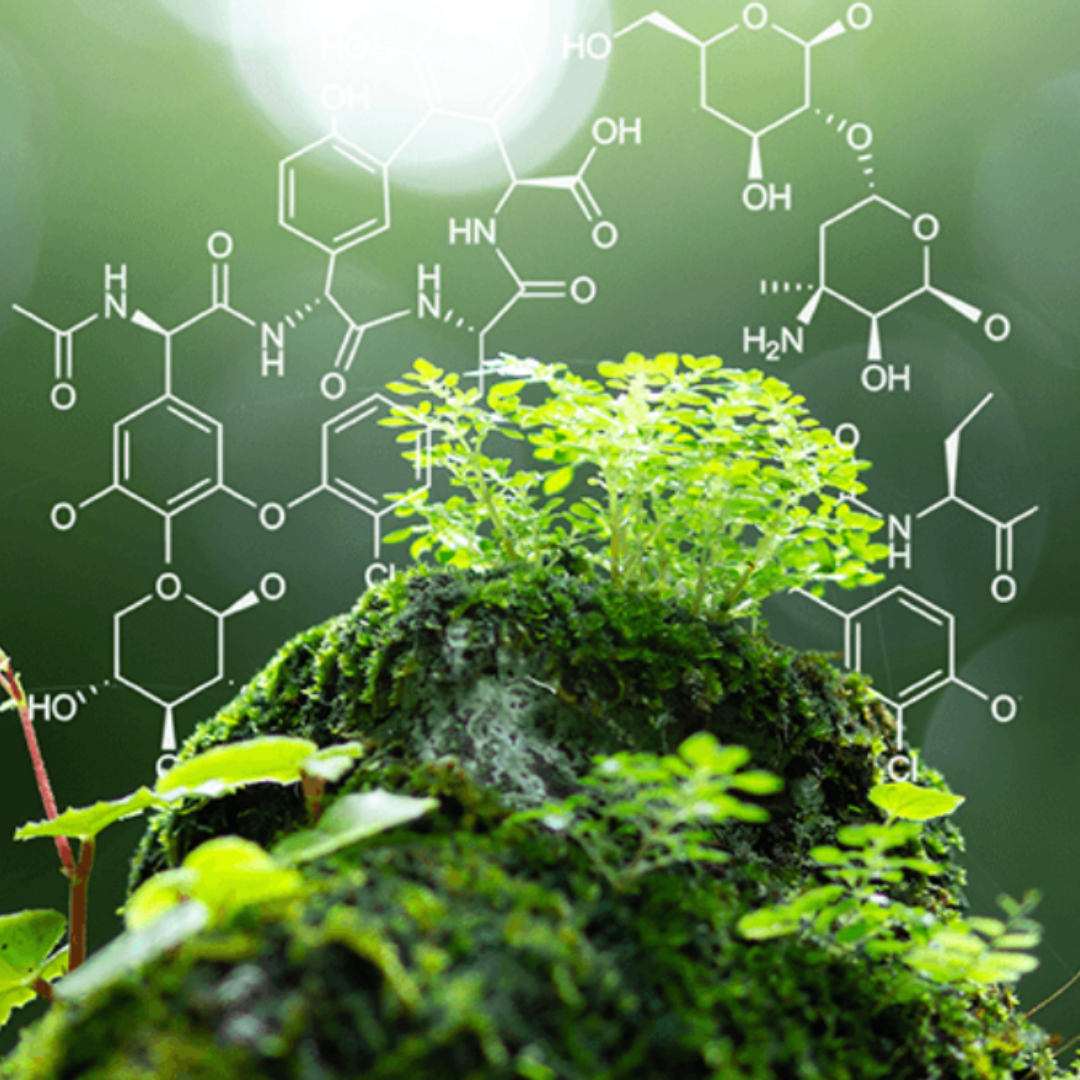 Natural products store
